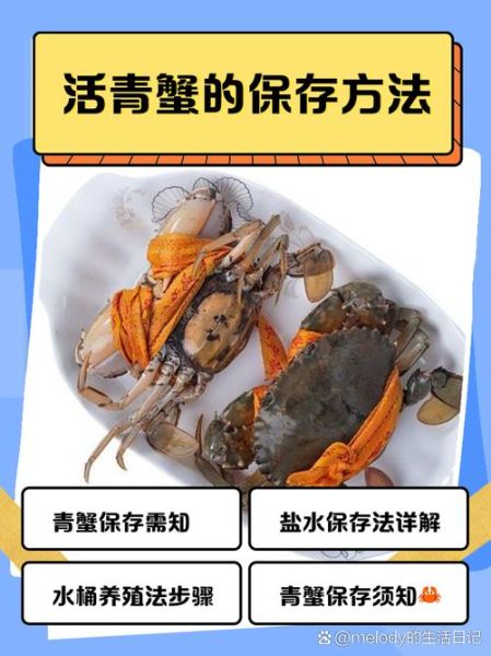 青蟹怎么杀_青蟹处理步骤-第2张图片-山城妙识