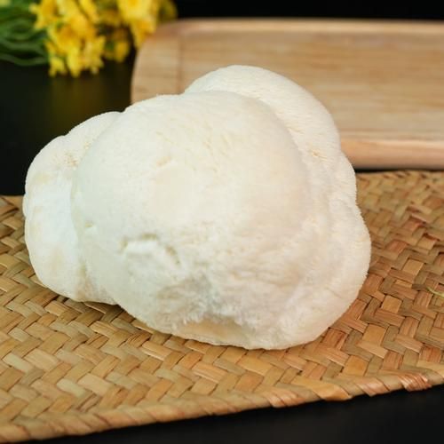 新鲜猴头菇怎么挑选_新鲜猴头菇怎么吃最好-第3张图片-山城妙识