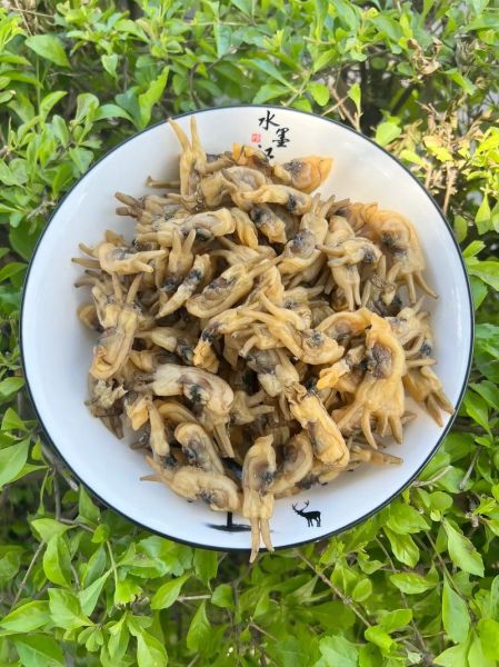 蛏子干怎么炒好吃_蛏子干炒前怎么处理-第1张图片-山城妙识