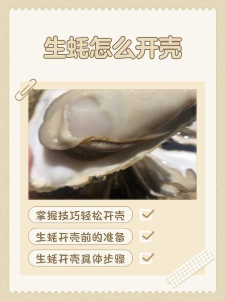 生蚝怎么开壳_生蚝开壳技巧视频教程-第1张图片-山城妙识 生蚝怎么开壳_生蚝开壳技巧视频教程-第1张图片-山城妙识