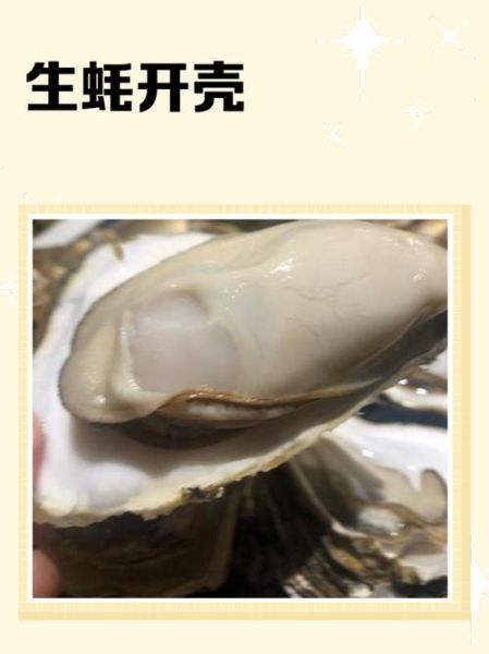 生蚝怎么开壳_生蚝开壳技巧视频教程-第2张图片-山城妙识 生蚝怎么开壳_生蚝开壳技巧视频教程-第2张图片-山城妙识