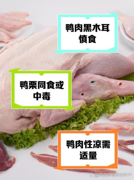 鸭肉不能和什么一起吃_相克食物有哪些-第1张图片-山城妙识