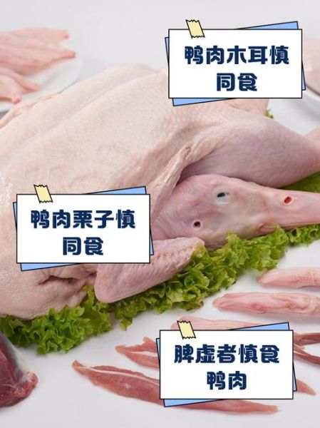 鸭肉不能和什么一起吃_相克食物有哪些-第2张图片-山城妙识