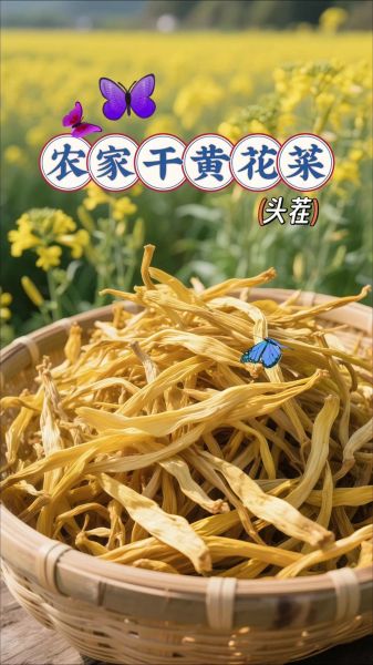 干黄花菜有什么营养价值_干黄花菜的功效与作用-第2张图片-山城妙识