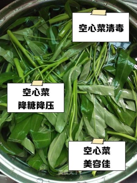 空心菜叶子能降血压吗_空心菜叶子怎么吃最营养-第1张图片-山城妙识 空心菜叶子能降血压吗_空心菜叶子怎么吃最营养-第1张图片-山城妙识
