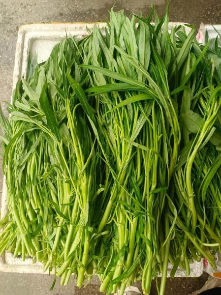 空心菜叶子能降血压吗_空心菜叶子怎么吃最营养-第2张图片-山城妙识 空心菜叶子能降血压吗_空心菜叶子怎么吃最营养-第2张图片-山城妙识