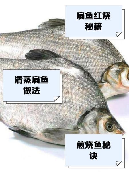 扁鱼怎么做好吃_扁鱼的家常做法-第2张图片-山城妙识 扁鱼怎么做好吃_扁鱼的家常做法-第2张图片-山城妙识