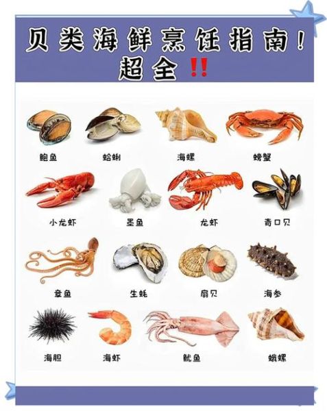 贝类图片大全及名称_如何快速识别常见贝类-第1张图片-山城妙识