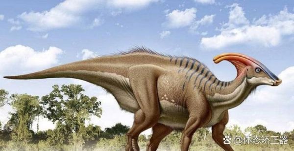 美国发现活恐龙是真的吗_活恐龙长什么样-第3张图片-山城妙识
