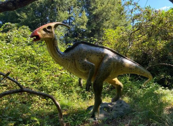 美国发现活恐龙是真的吗_活恐龙长什么样-第2张图片-山城妙识