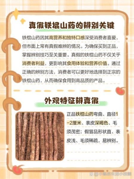 山药长什么样_山药图片怎么分辨真假-第1张图片-山城妙识 山药长什么样_山药图片怎么分辨真假-第1张图片-山城妙识