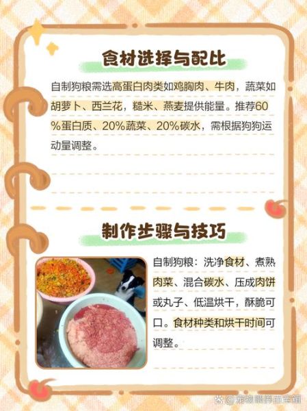 自制狗粮的做法大全_狗狗能吃哪些食材-第2张图片-山城妙识