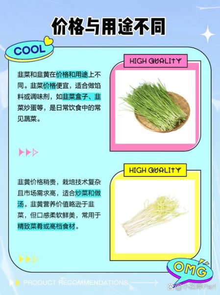 韭菜和韭黄哪个壮阳_男人吃韭菜还是韭黄-第1张图片-山城妙识 韭菜和韭黄哪个壮阳_男人吃韭菜还是韭黄-第1张图片-山城妙识