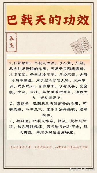 巴戟天的功效与作用_巴戟天的副作用有哪些-第1张图片-山城妙识 巴戟天的功效与作用_巴戟天的副作用有哪些-第1张图片-山城妙识