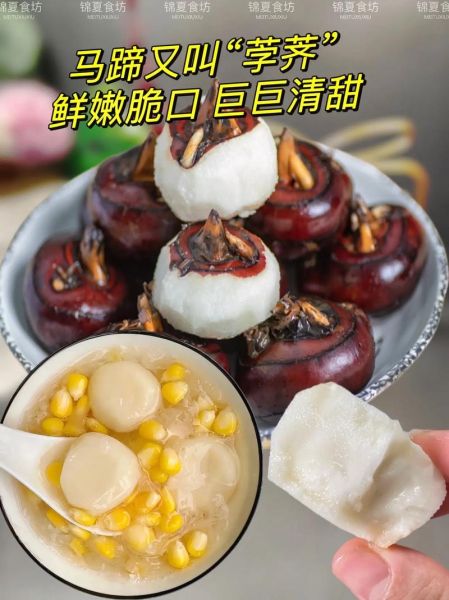 新鲜马蹄怎么吃_马蹄去皮技巧-第3张图片-山城妙识