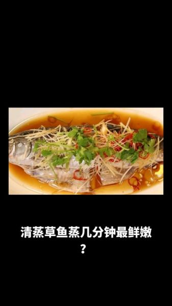 清蒸草鱼怎么做好吃又简单_草鱼蒸多久才嫩-第3张图片-山城妙识