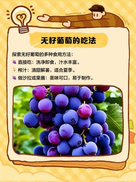 无籽葡萄有哪些品种_无籽葡萄品种大全-第1张图片-山城妙识