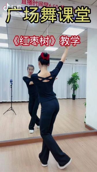 红枣树广场舞分解动作_新手怎么学最快-第1张图片-山城妙识