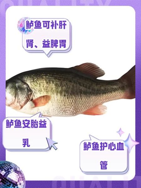 鲈鱼的营养价值_鲈鱼的功效与作用-第1张图片-山城妙识 鲈鱼的营养价值_鲈鱼的功效与作用-第1张图片-山城妙识