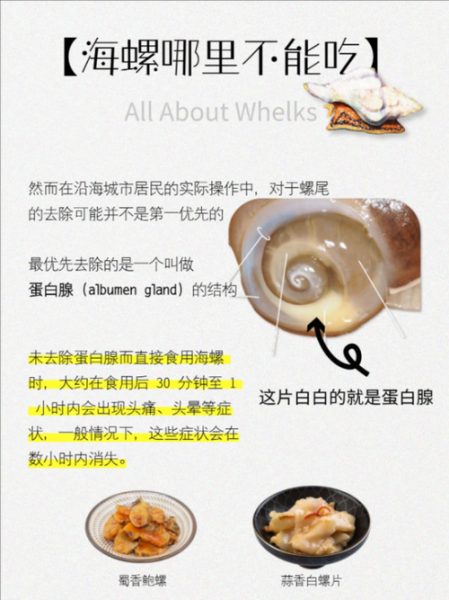 海螺当天不吃怎么储存_海螺保存方法-第3张图片-山城妙识