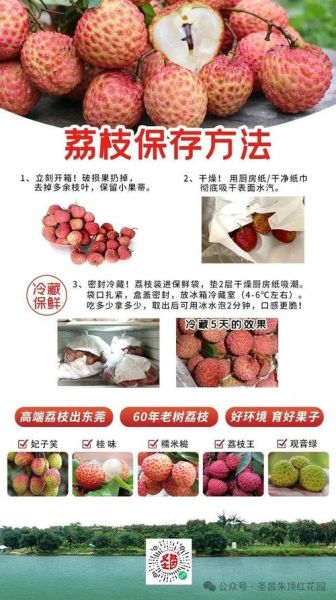 荔枝的营养价值_荔枝上火怎么办-第3张图片-山城妙识