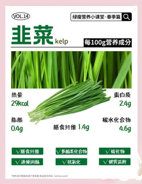 韭菜的药用价值_韭菜的功效与作用-第1张图片-山城妙识