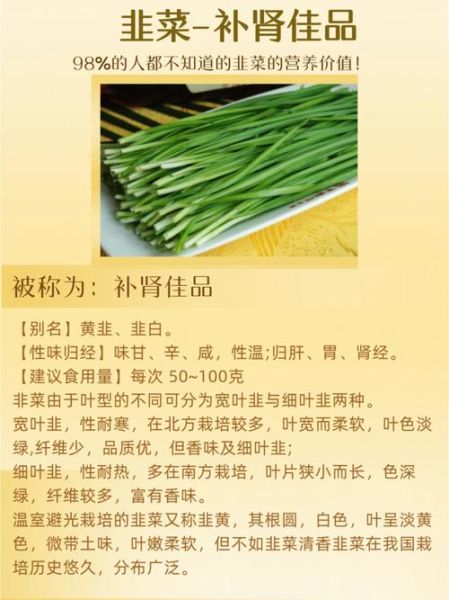 韭菜的药用价值_韭菜的功效与作用-第3张图片-山城妙识