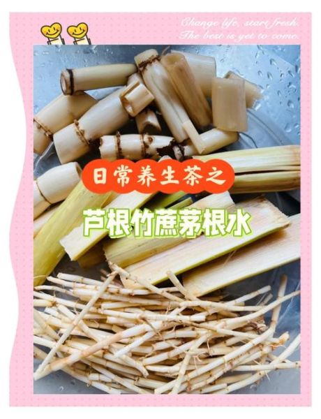 白茅根的功效与作用_白茅根泡水喝有什么禁忌-第2张图片-山城妙识