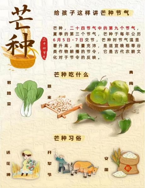 芒种图片唯美_芒种节气有什么习俗-第1张图片-山城妙识