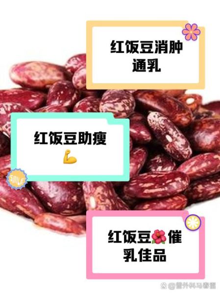 饭豆是什么豆_饭豆和红豆的区别-第2张图片-山城妙识