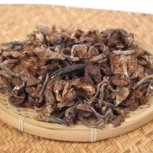 东北蘑菇种类大全_哪些野生菌可食用-第3张图片-山城妙识 东北蘑菇种类大全_哪些野生菌可食用-第3张图片-山城妙识