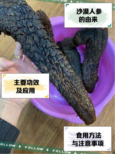 草苁蓉的功效与作用_草苁蓉怎么吃效果最好-第2张图片-山城妙识