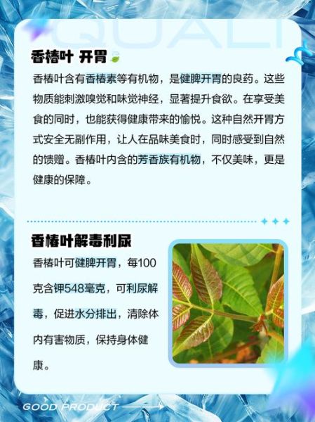 香椿老叶泡茶的功效_香椿老叶泡茶怎么喝-第1张图片-山城妙识