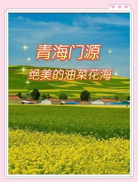 门源油菜花什么时候开_门源油菜花最佳观赏地点-第3张图片-山城妙识