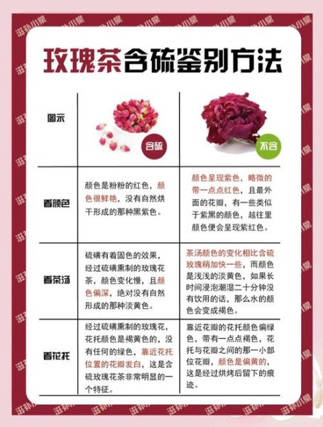 月季花茶和玫瑰花茶的区别_哪个更适合女性-第3张图片-山城妙识