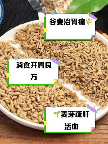谷芽是什么_谷芽的功效与作用-第3张图片-山城妙识 谷芽是什么_谷芽的功效与作用-第3张图片-山城妙识