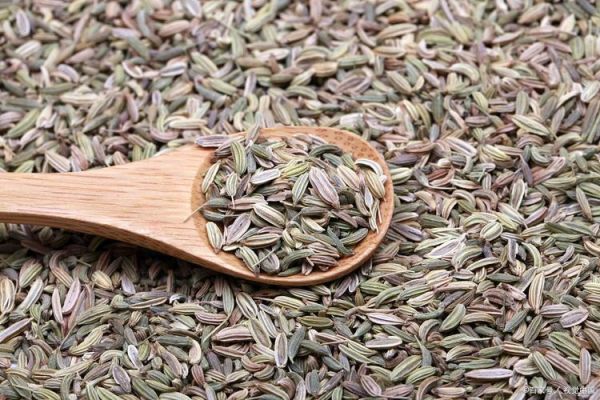 大料指的是什么东西_大料和小茴香一样吗-第1张图片-山城妙识 大料指的是什么东西_大料和小茴香一样吗-第1张图片-山城妙识