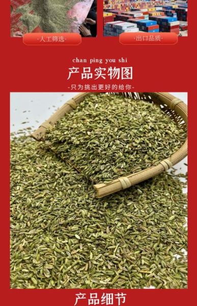 大料指的是什么东西_大料和小茴香一样吗-第3张图片-山城妙识 大料指的是什么东西_大料和小茴香一样吗-第3张图片-山城妙识