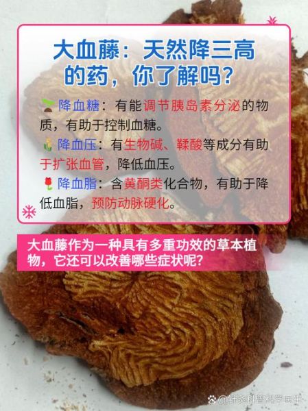 大血藤的功效与作用有哪些_大血藤图片长什么样-第2张图片-山城妙识