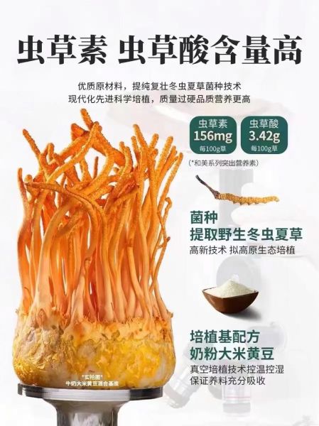 蛹虫草的功效与作用及食用方法_蛹虫草怎么吃效果最好-第3张图片-山城妙识