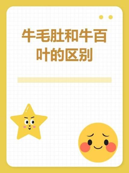 牛肚和牛百叶的区别_哪个更好吃-第1张图片-山城妙识