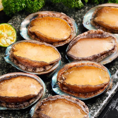 小鲍鱼多少钱一斤_小鲍鱼价格影响因素-第2张图片-山城妙识