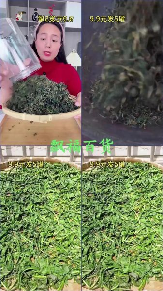 晒干的蒲公英怎么吃最好_蒲公英干怎么泡水-第3张图片-山城妙识 晒干的蒲公英怎么吃最好_蒲公英干怎么泡水-第3张图片-山城妙识