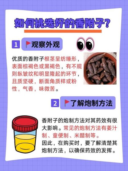 香附能治什么病_香附的副作用有哪些-第1张图片-山城妙识