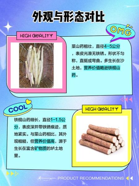 菜山药和铁棍山药的区别_哪个营养价值更高-第1张图片-山城妙识