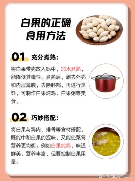 白果怎么吃不会中毒_白果中毒剂量是多少-第1张图片-山城妙识 白果怎么吃不会中毒_白果中毒剂量是多少-第1张图片-山城妙识