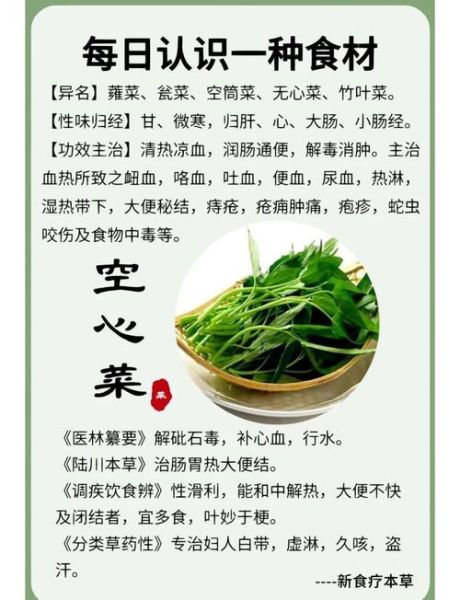 空心菜能排结石吗_怎么吃效果最好-第1张图片-山城妙识 空心菜能排结石吗_怎么吃效果最好-第1张图片-山城妙识