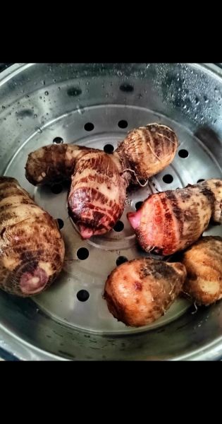 蒸芋头要多久才熟_芋头蒸多久能熟透-第3张图片-山城妙识 蒸芋头要多久才熟_芋头蒸多久能熟透-第3张图片-山城妙识