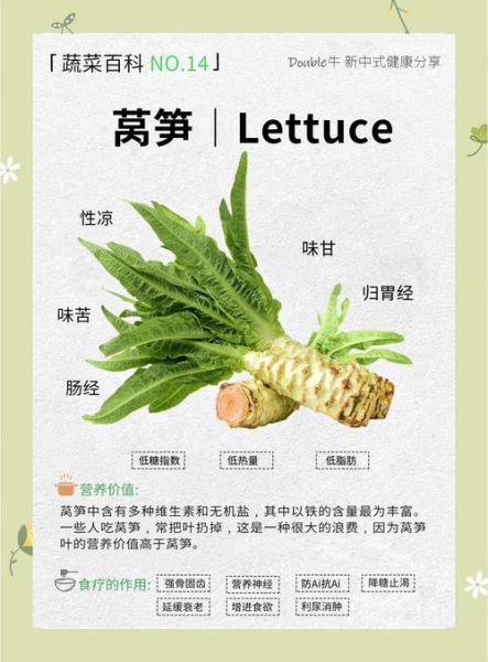 女人吃莴苣有什么好处_莴苣对女性健康的作用-第1张图片-山城妙识 女人吃莴苣有什么好处_莴苣对女性健康的作用-第1张图片-山城妙识