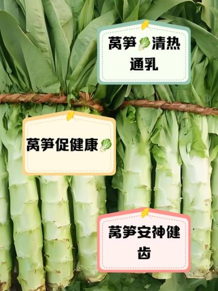 女人吃莴苣有什么好处_莴苣对女性健康的作用-第3张图片-山城妙识 女人吃莴苣有什么好处_莴苣对女性健康的作用-第3张图片-山城妙识